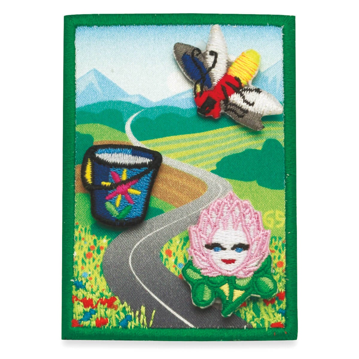 Between Earth And Sky Daisy Journey Award Set | Girl Scouts of NE ...